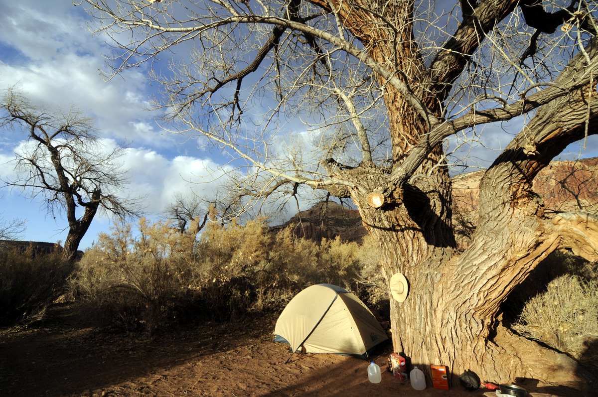 Tent Michaelsulock