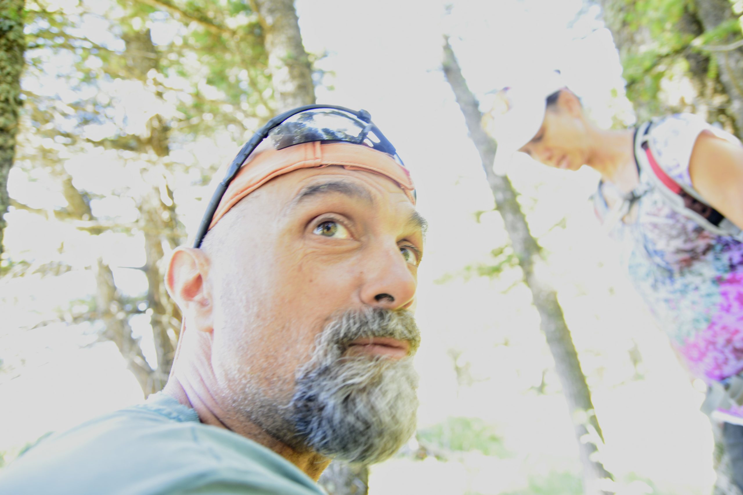 michaelsulock.com - Pictures and assorted rambling from the life of ...